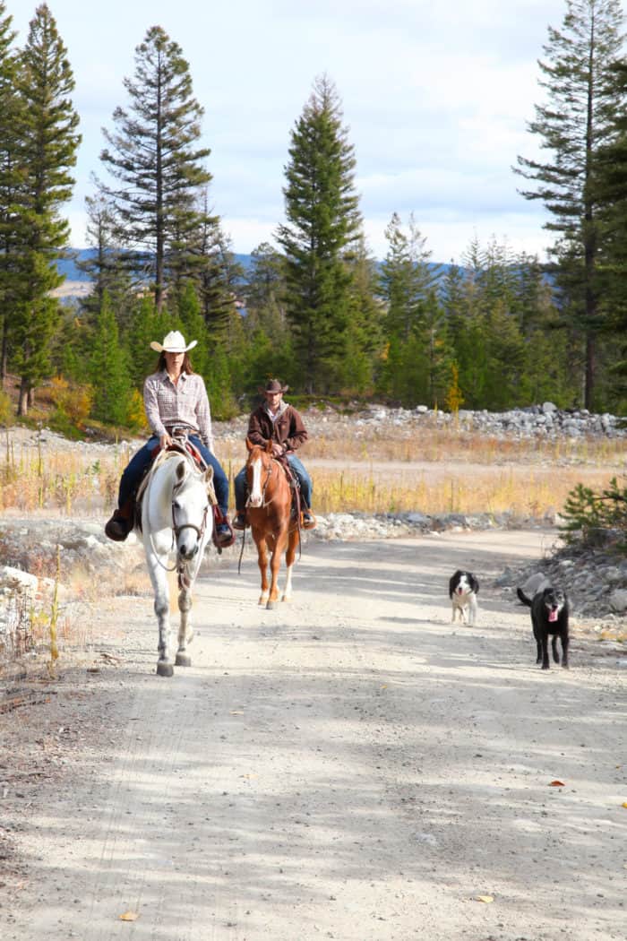 How to Safely Horseback Ride with Dogs