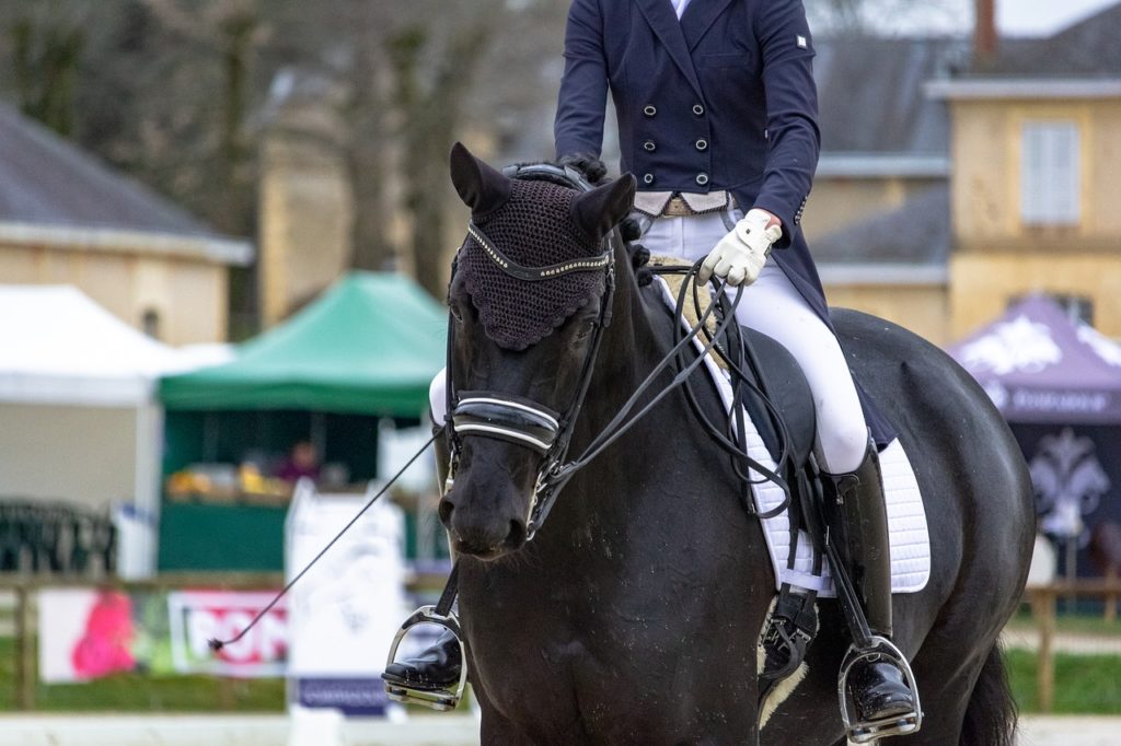 How to Get Your Horse to Engage Their Hind-End