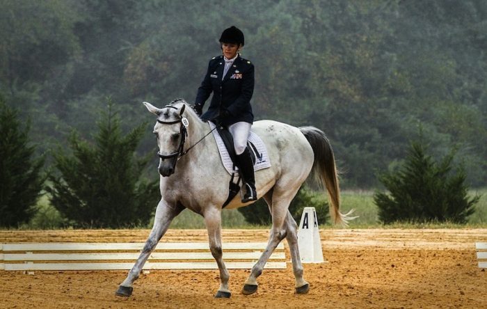 Types of English Horseback Riding