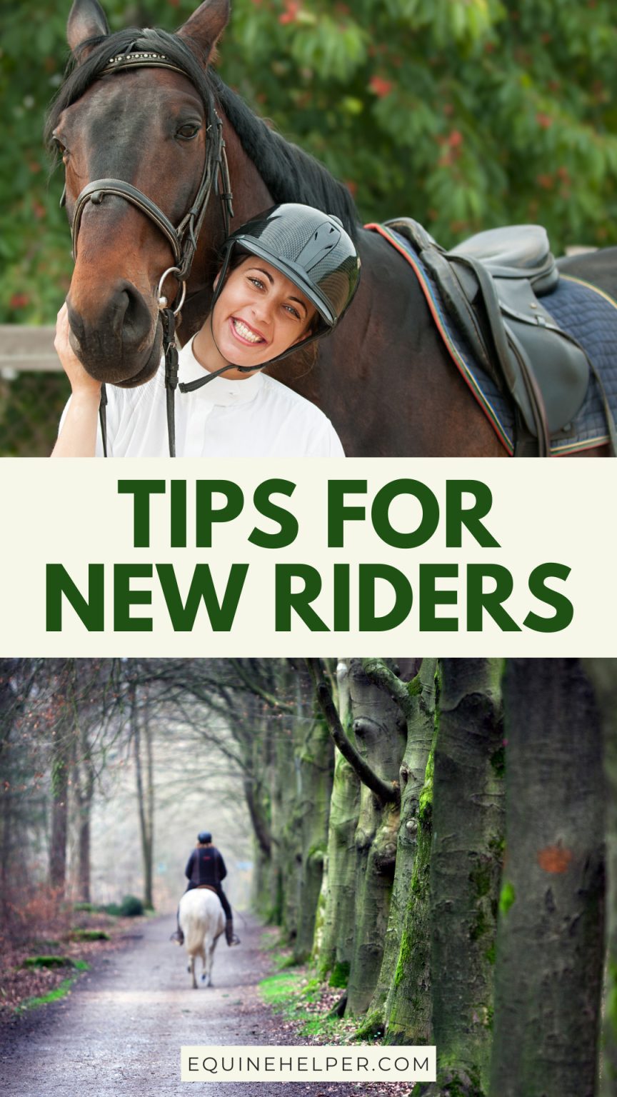 15 Tips for Beginner Horseback Riders