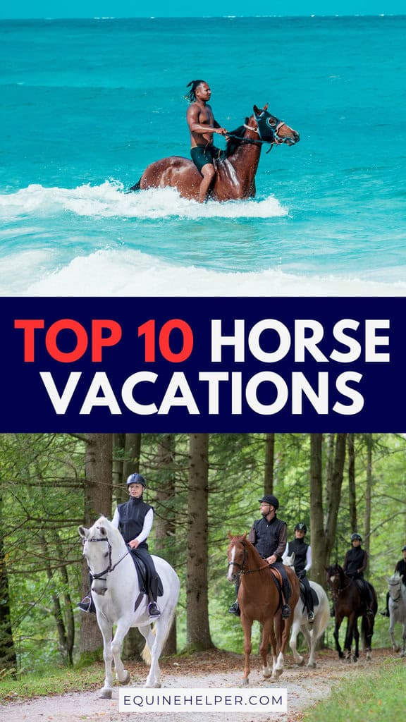 Top Horseback Riding Vacations in the US