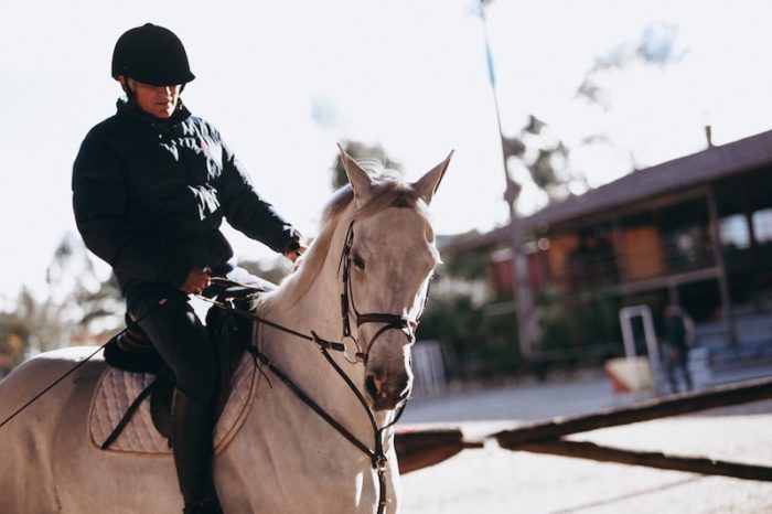 26 Horse Safety Tips for Beginners