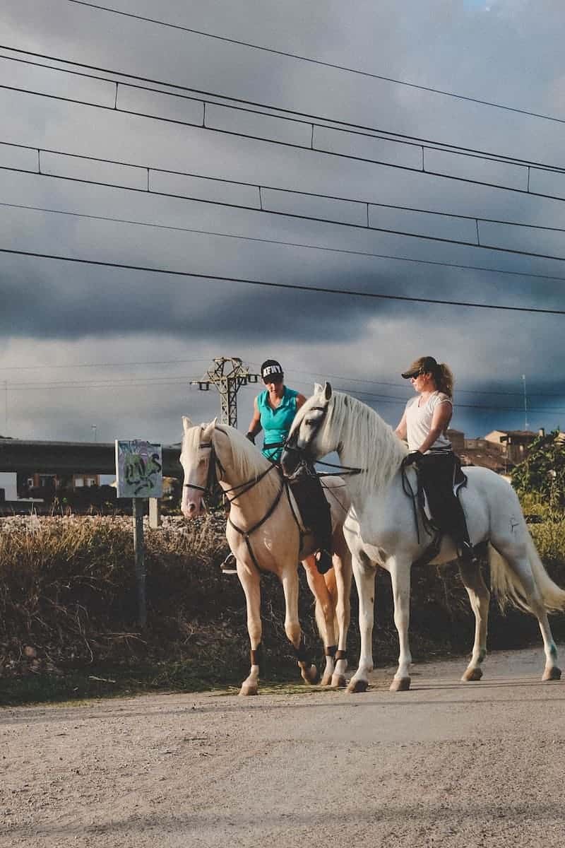 26 Horse Safety Tips for Beginners