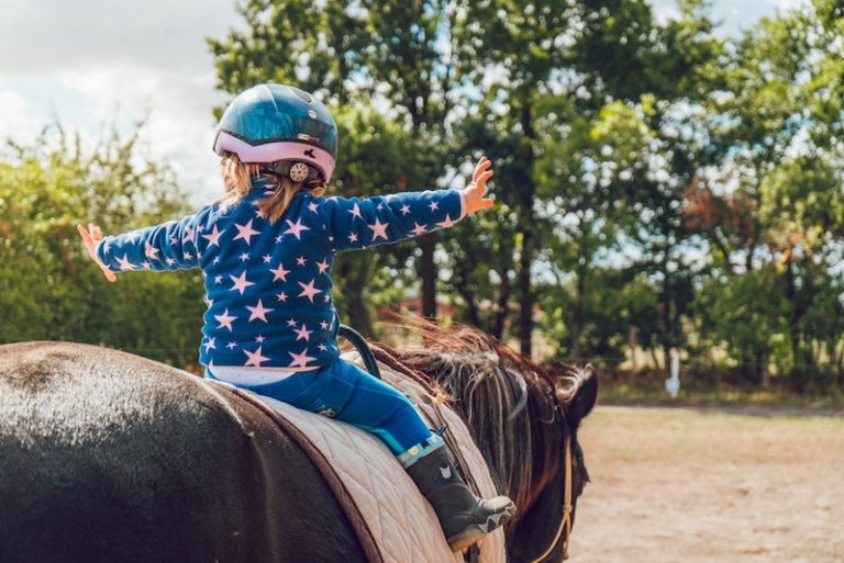 15 Tips for Beginner Horseback Riders