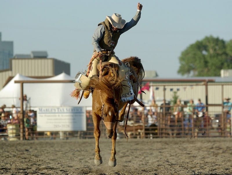 Western Horse Competitions: Complete Guide