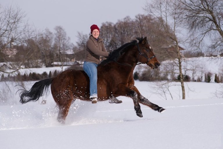15 Tips for Beginner Horseback Riders