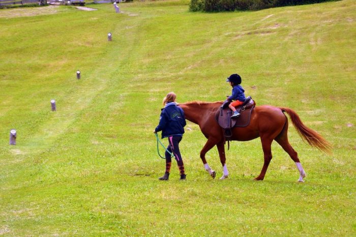 15 Tips for Beginner Horseback Riders