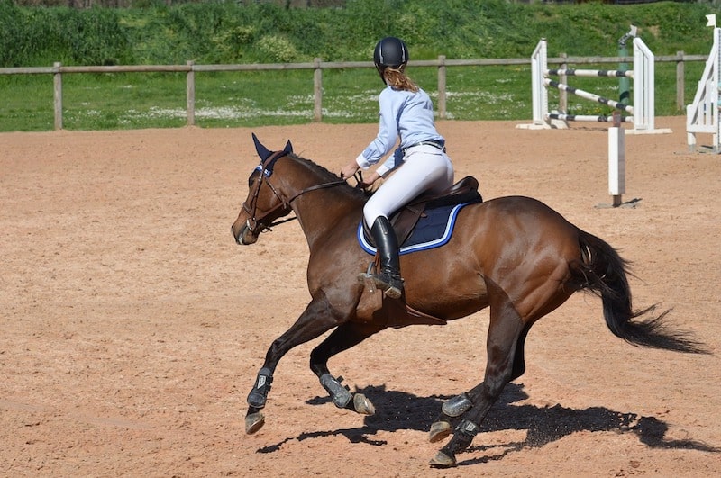 How to Prepare for Horseback Riding Lessons