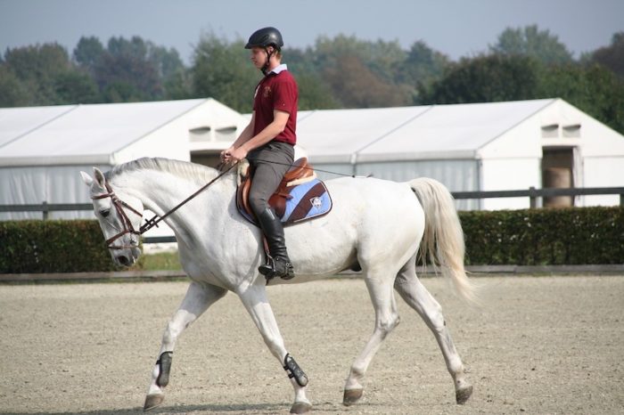 15 Tips for Beginner Horseback Riders