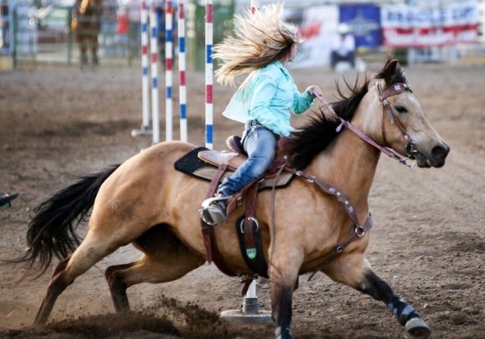 Western Horse Competitions: Complete Guide