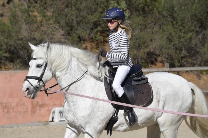 How to Prepare for Horseback Riding Lessons