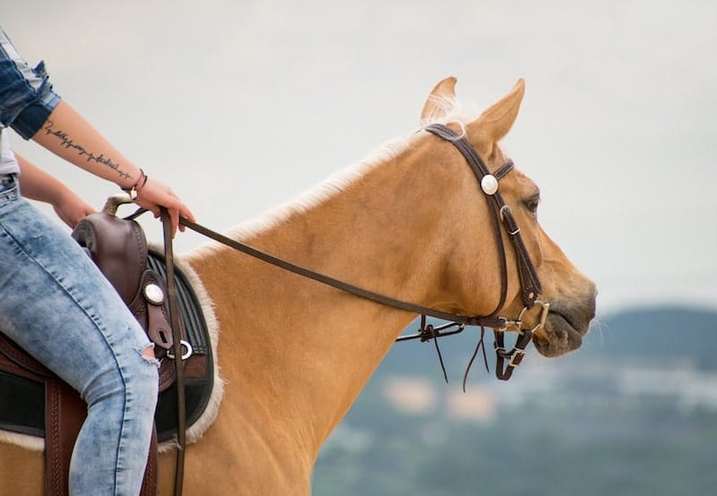 Horseback Riding Mistakes: 11 Common Mistakes to Avoid
