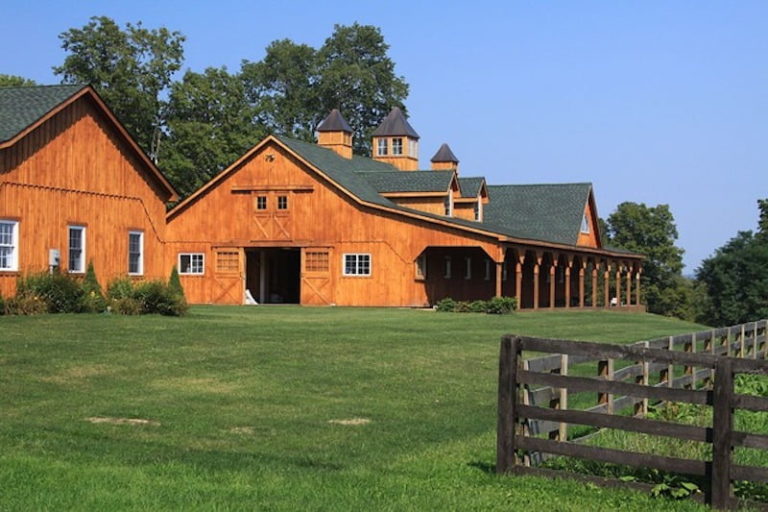 Choosing a Boarding Stable Your Horse Will Love