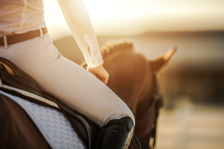 Riding a Horse in the City: What You Need to Know
