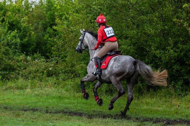 What Is Eventing? Everything You Need To Know