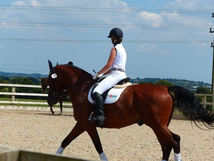 15 Tips To Become a Better Horseback Rider