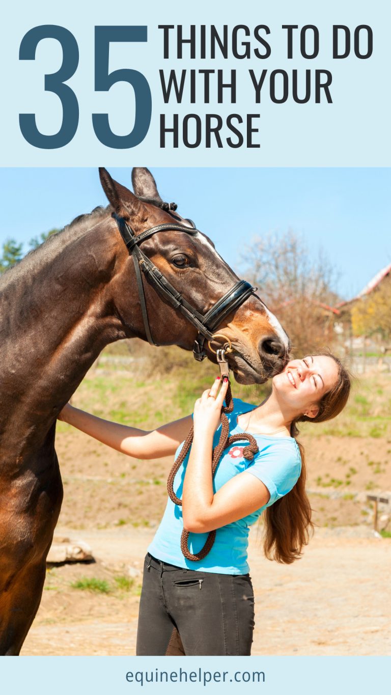 35 Fun Things To Do With Your Horse (Other Than Riding)