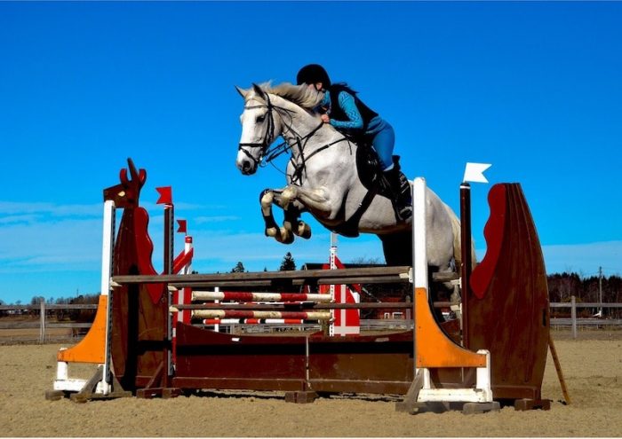 All You Need to Know About Showjumping