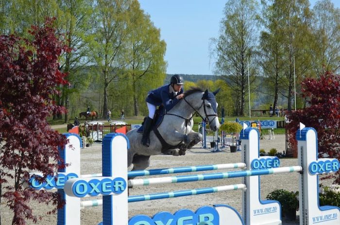 All You Need to Know About Showjumping
