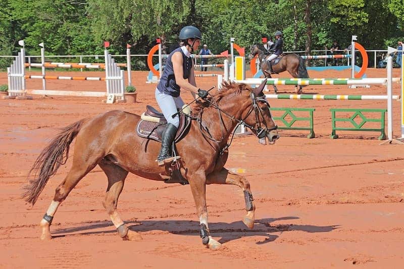 What Is Eventing? Everything You Need To Know