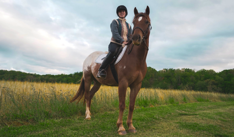 First-Time Horse Owner Checklist