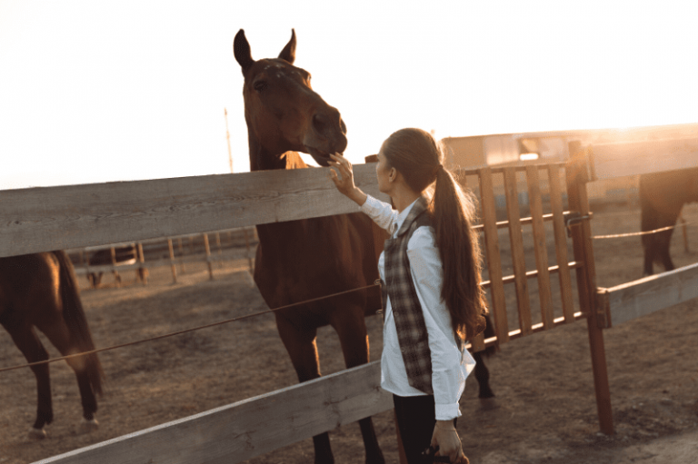 Becoming a Confident Horseback Rider: Complete Guide