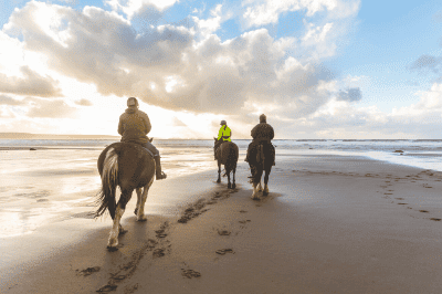 Becoming a Confident Horseback Rider: Complete Guide