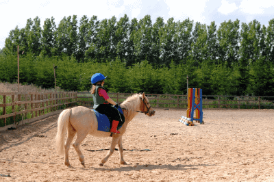Horseback Riding Therapy: Definition, Benefits, and FAQs