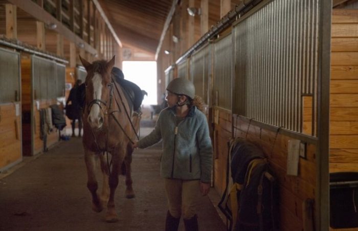 How To Start A Boarding Barn & Stable: Essential Guide