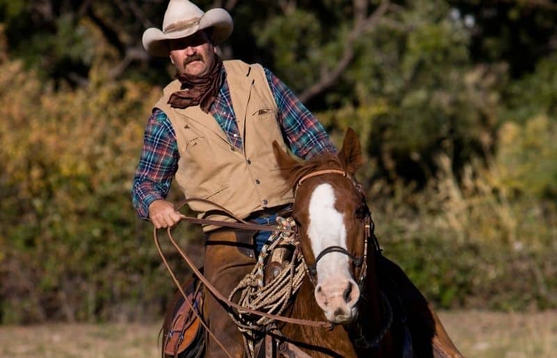 How To Ride A Horse (Quick Start Guide For Beginners)