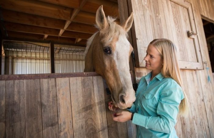 Top 10 Horse Colleges In the US for Equestrians