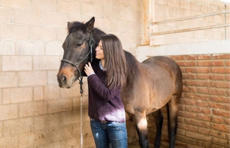 Buying a Horse At Auction (Helpful Tips & How It Works)