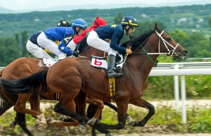 Should I Get An Off-The-Track Thoroughbred? (Read Before Buying)