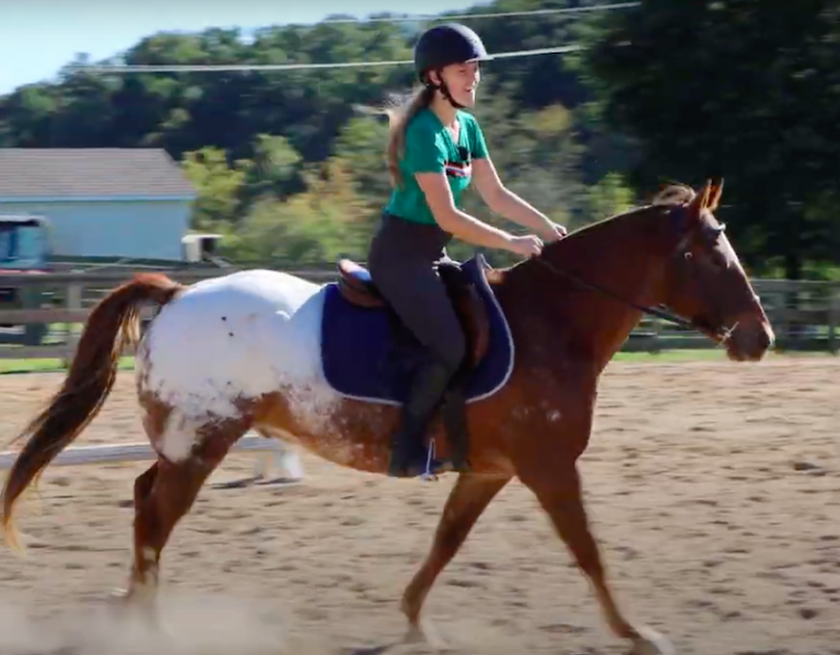 How to Ride the Canter (Step-By-Step Guide)