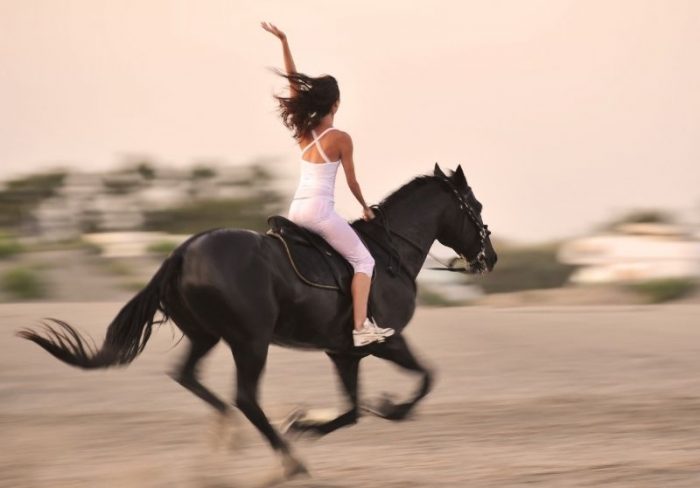 50 Top Horseback Riding Quotes (Picked By An Equestrian)