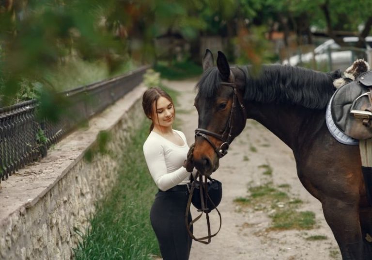 Basic Horse Knowledge Every Equestrian Should Know