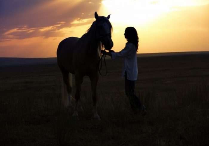 50 Top Horseback Riding Quotes (Picked By An Equestrian)
