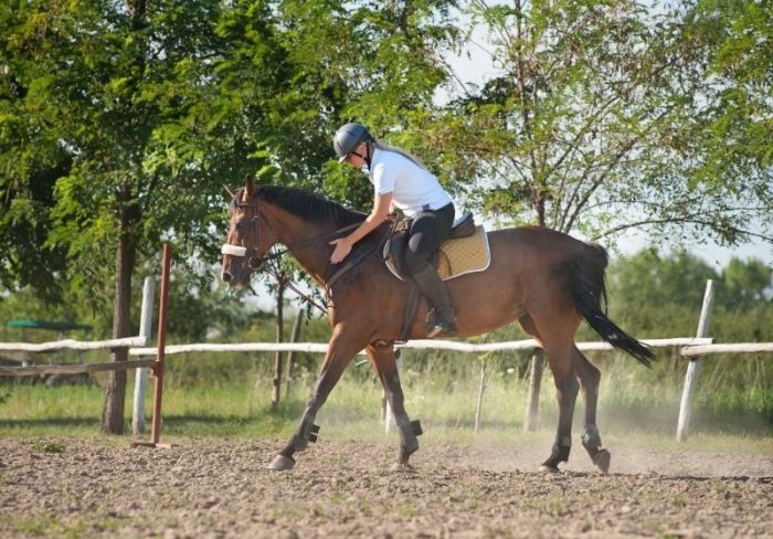 Benefits Of Horseback Riding: Top Physical & Mental Benefits