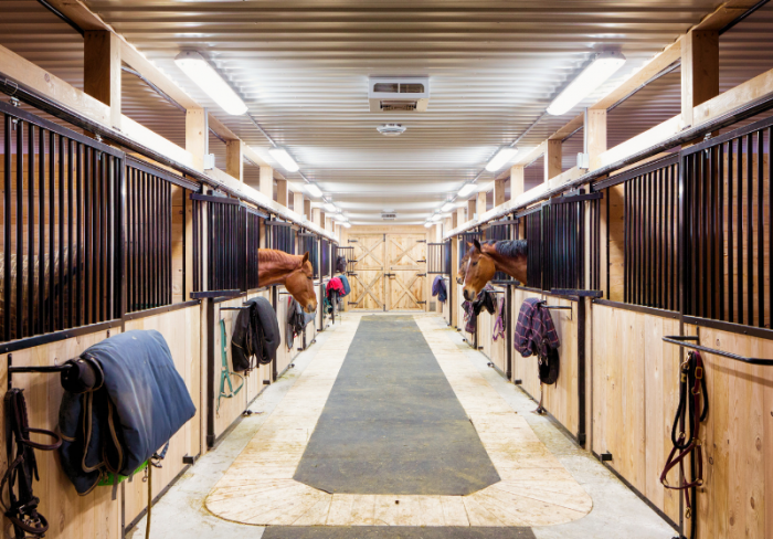 Horse Boarding Guide (Cost, Types, Common Questions)