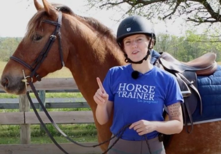 How to Jump a Horse (Easy Beginner Guide)