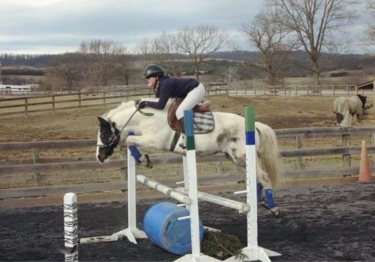 How to Jump a Horse (Easy Beginner Guide)