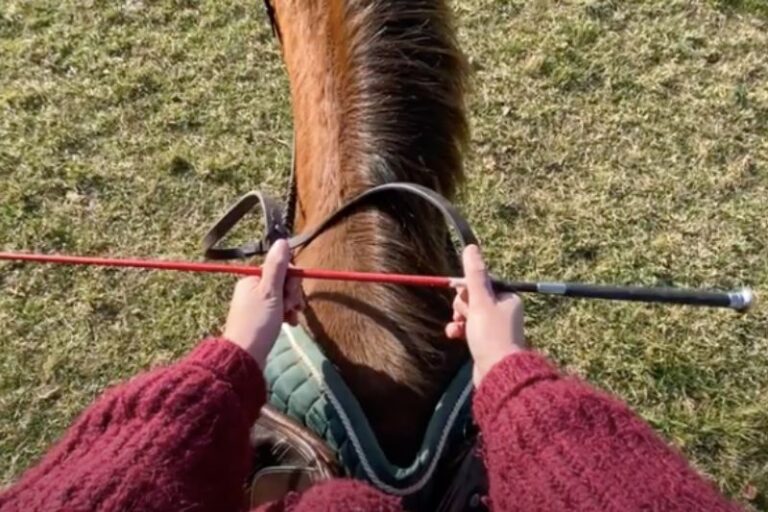 Riding Posture: Easy Horse Riding Posture Solutions