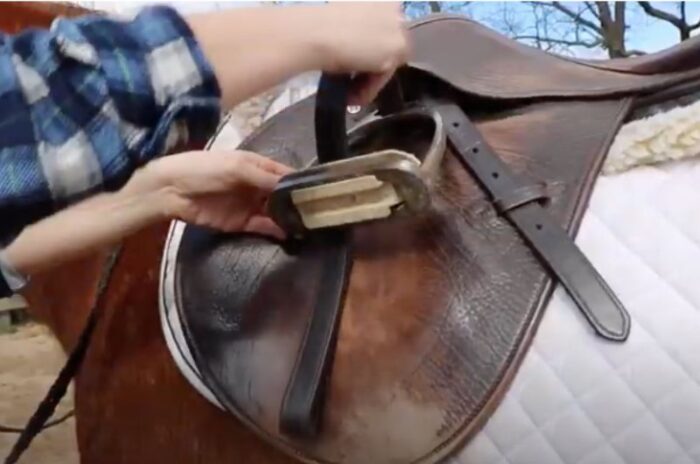 How To Mount and Dismount A Horse: Step-by-Step Guide