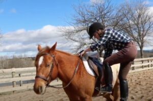 How To Mount and Dismount A Horse: Step-by-Step Guide