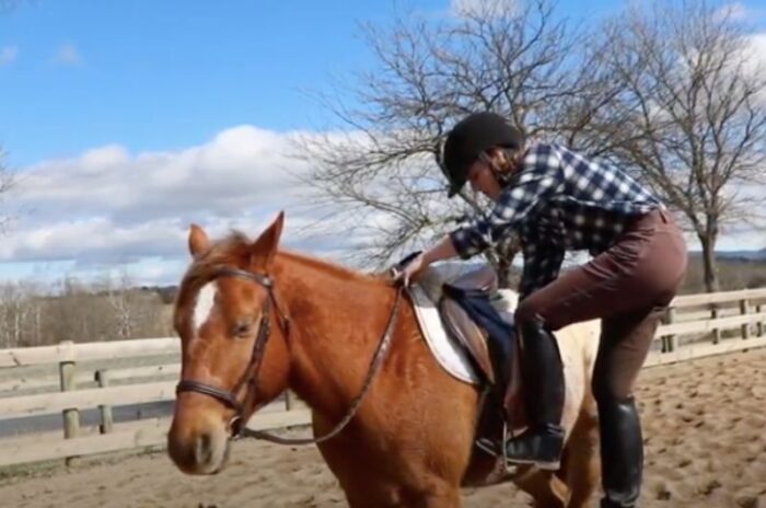 How To Mount and Dismount A Horse: Step-by-Step Guide