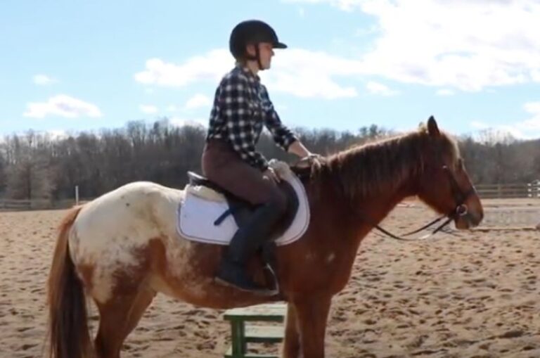 How To Mount and Dismount A Horse: Step-by-Step Guide