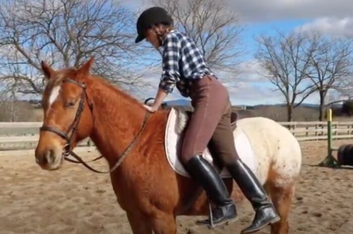 How To Mount and Dismount A Horse: Step-by-Step Guide