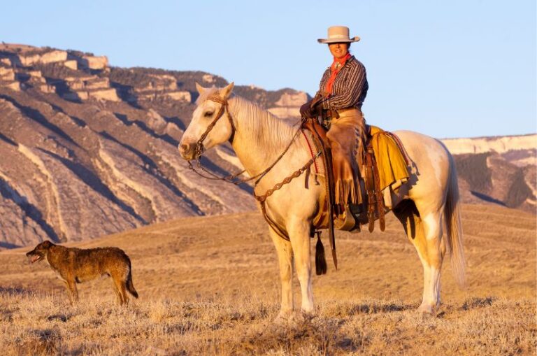 Ranch Horse Breeds: 10 Best Working & Riding Ranch Breeds