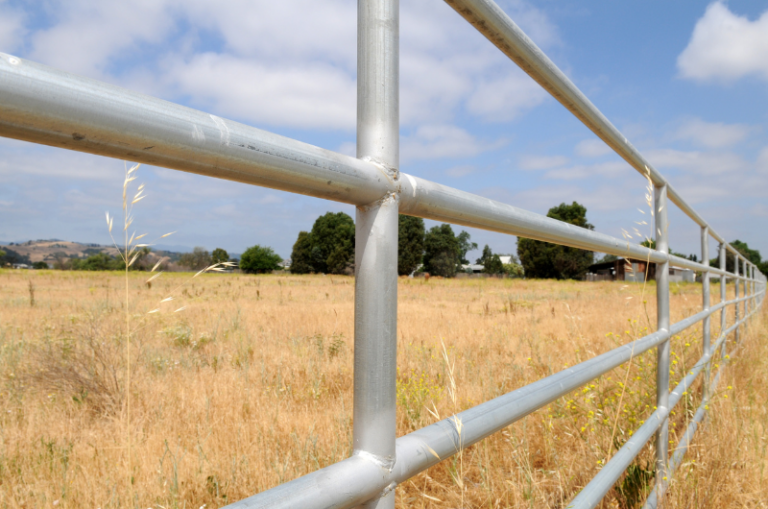 Horse Fencing: 5 Best Options For Horse Farms
