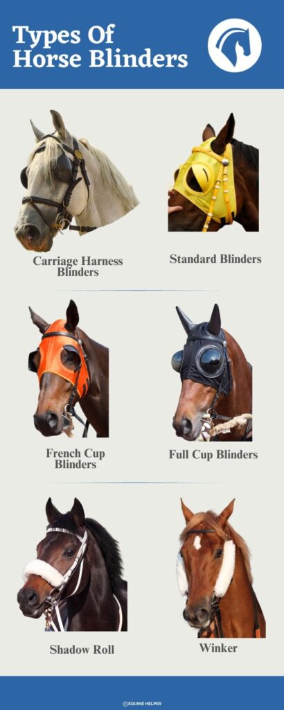 Why Do Horses Wear Blinders? Top Reasons Explained
